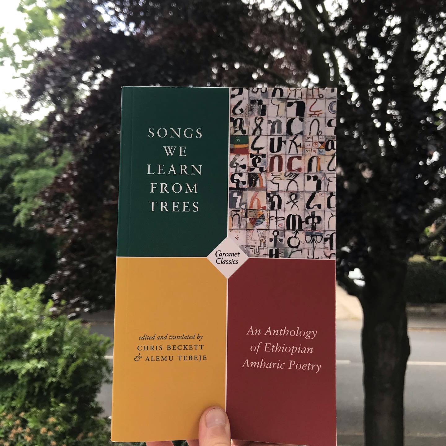 The Making of Songs We Learn from Trees, the First Anthology of Amharic ...