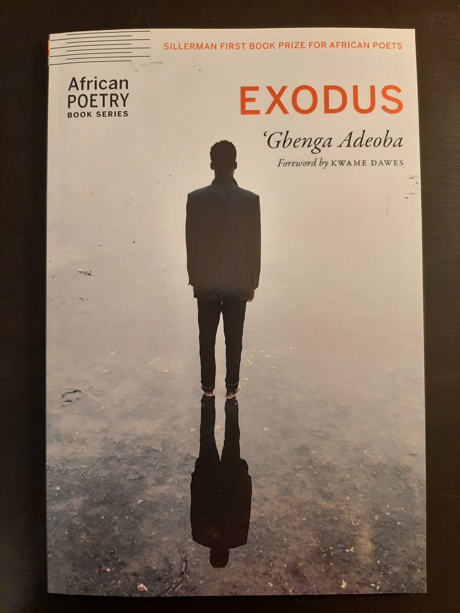 Exodus by Gbenga Adeoba Review—Witnessing Loss and Histories | Open ...